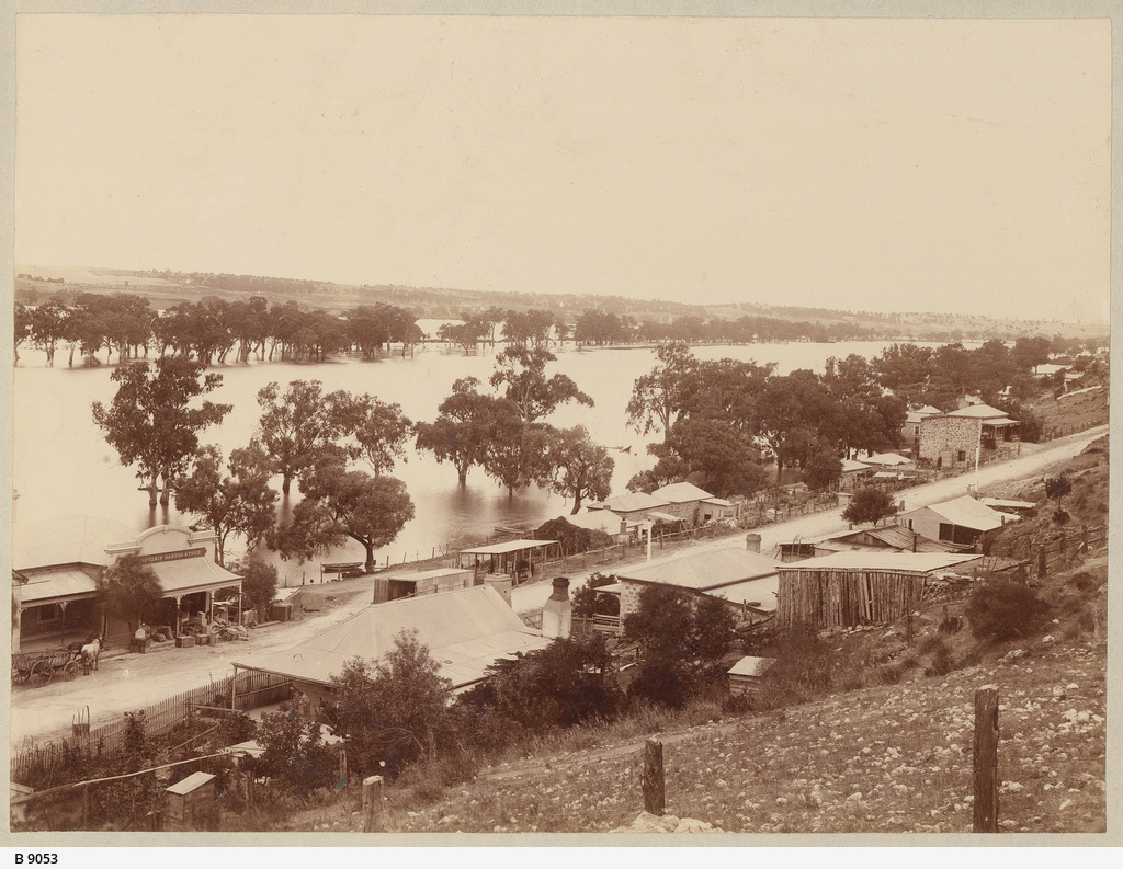 Mannum • Photograph • State Library of South Australia