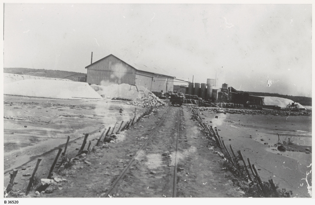 Australian Salt Company work • Photograph • State Library of South ...