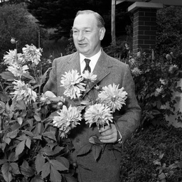 norton • Find • State Library of South Australia