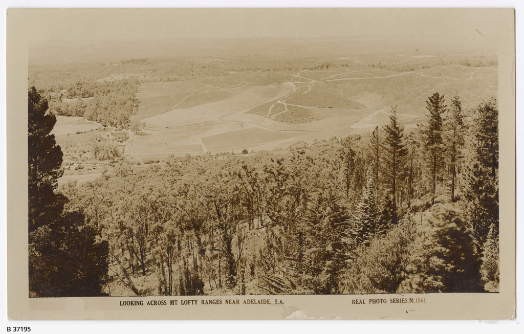 Mount Lofty Ranges • Photograph • State Library of South Australia
