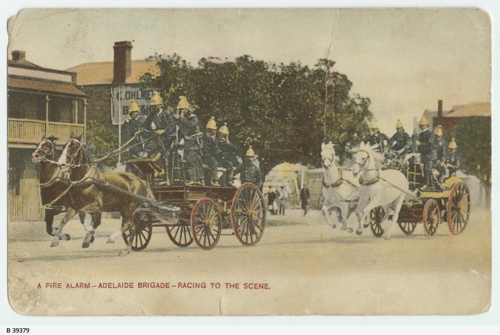 Adelaide Fire Brigade • Photograph • State Library of South Australia