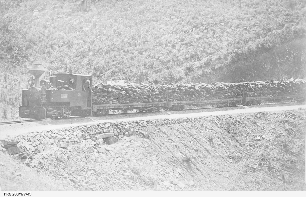 A firewood train on the Goondah-Burrinjuck line • Photograph • State ...