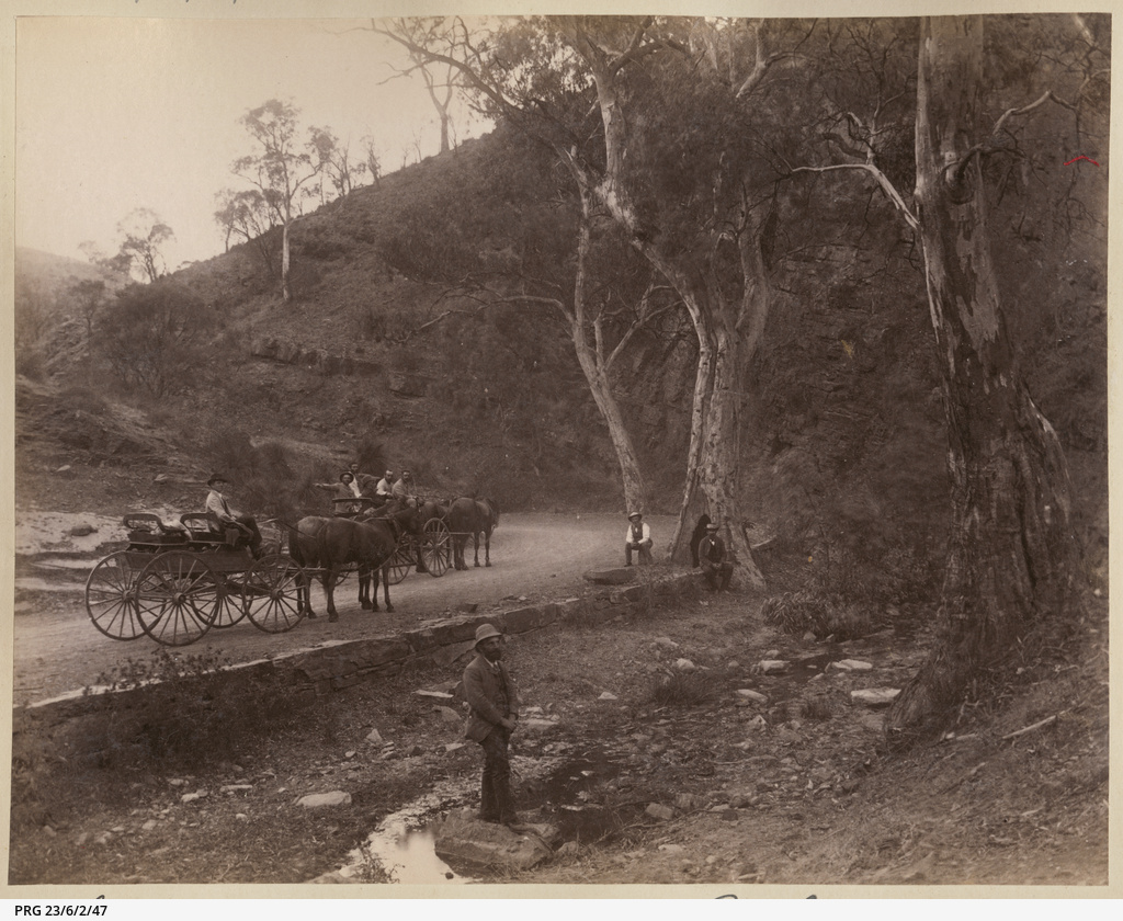 Road through Port Germein Gorge • Photograph • State Library of South ...