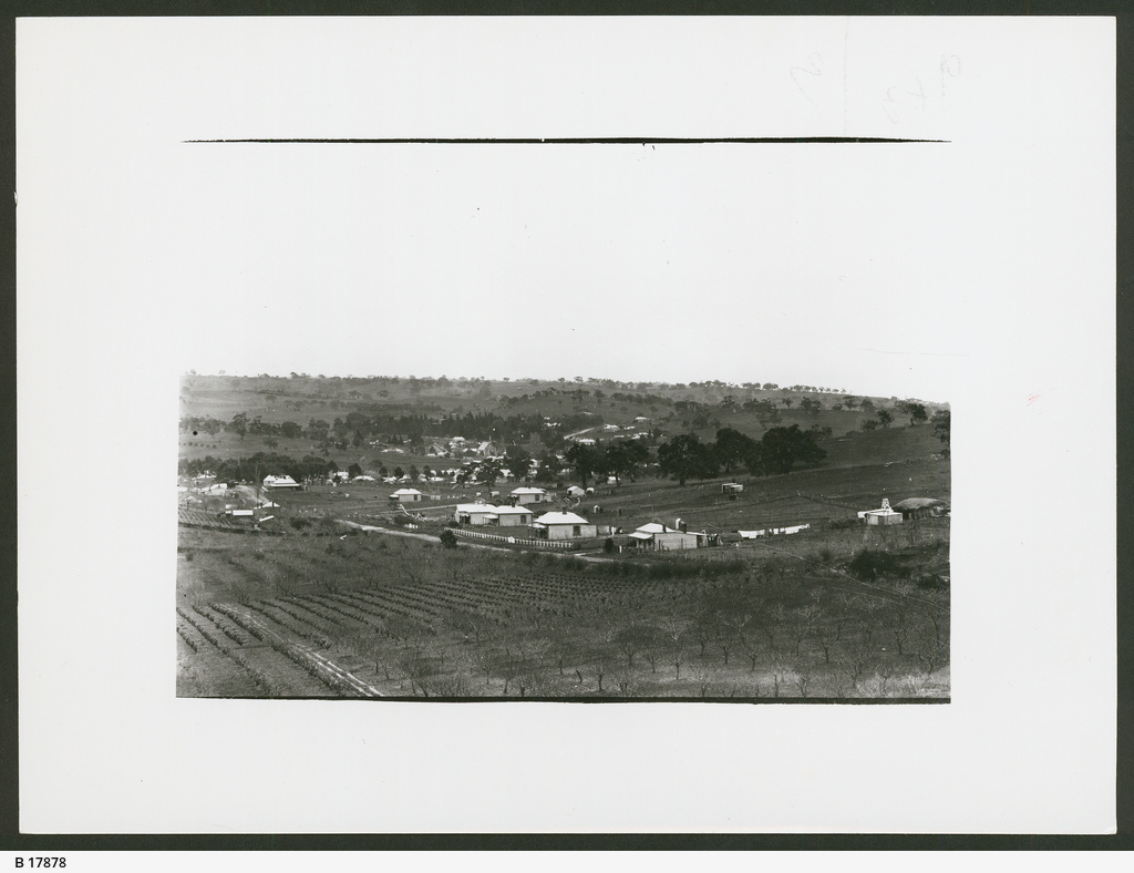 Angaston • Photograph • State Library of South Australia