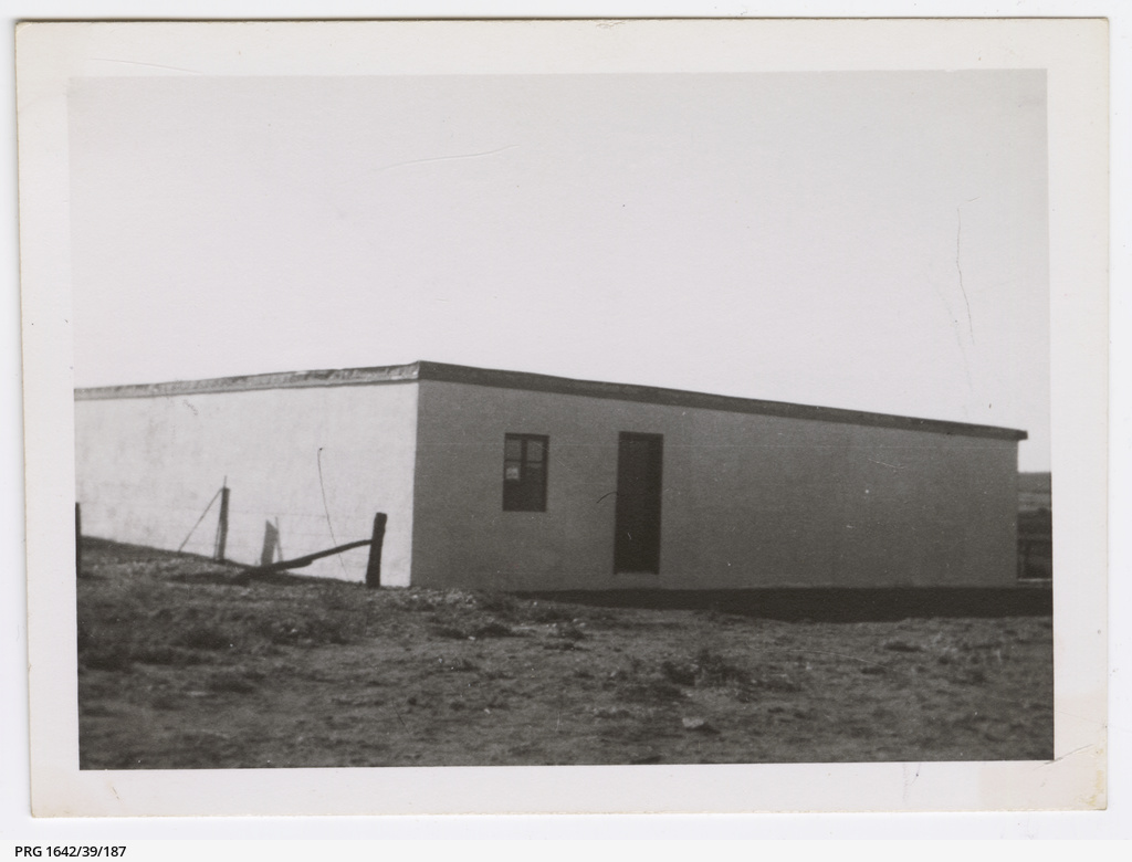 Sheep stations • Photograph • State Library of South Australia