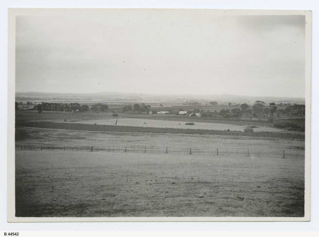 Tanunda • Photograph • State Library of South Australia