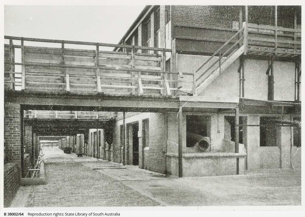 Gepps Cross Abattoir : Buildings • Photograph • State Library of South ...