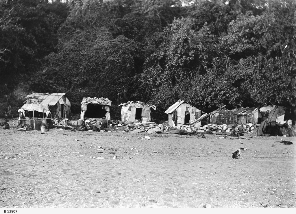 Aboriginal dwelling on Lameroo Beach • Photograph • State Library of ...