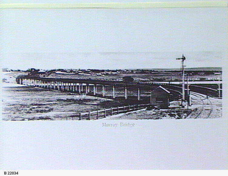 Murray Bridge • Photograph • State Library of South Australia