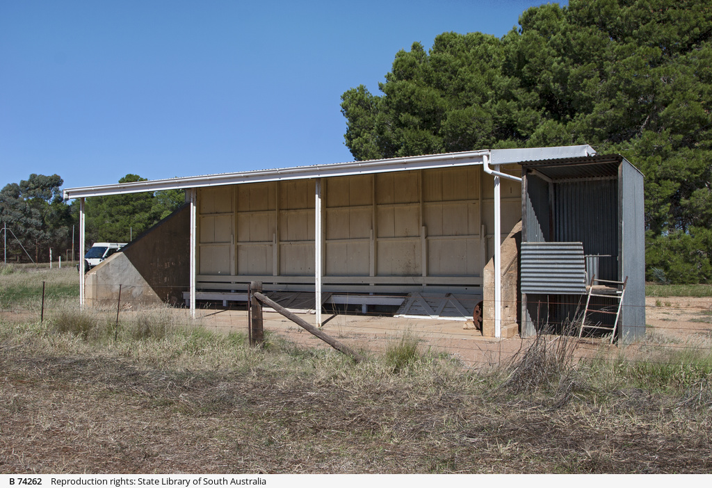 Yacka grandstand • Photograph • State Library of South Australia