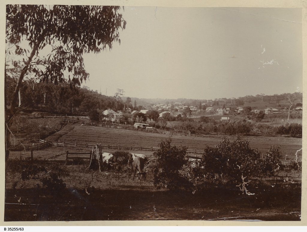 Lobethal • Photograph • State Library of South Australia