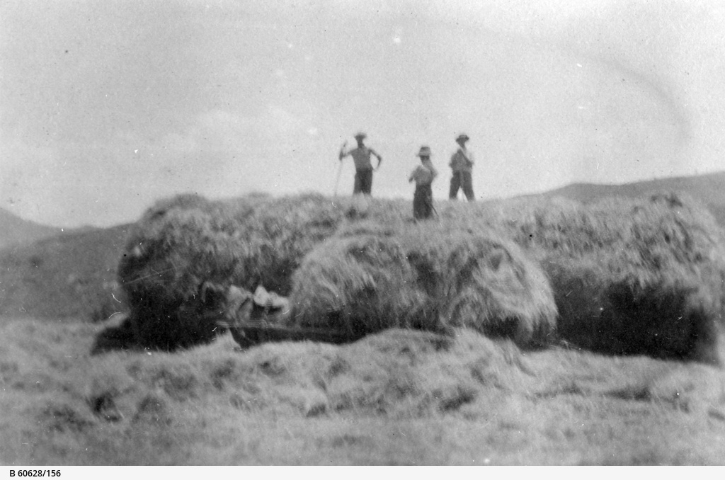 Three men with a haystack • Photograph • State Library of South Australia
