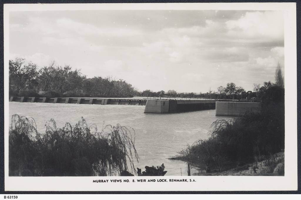 Weir and lock at Renmark • Photograph • State Library of South Australia