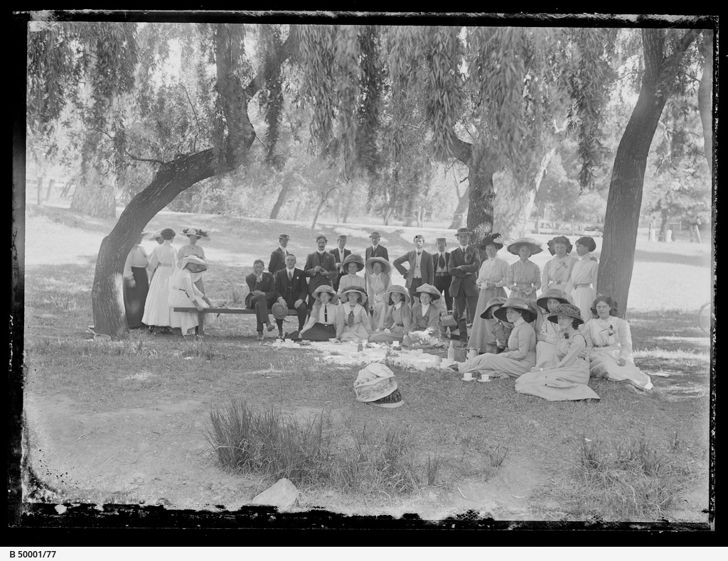 Photographs Of Activities People Animals And Scenic Views In South photographs-of-activities-people-animals-and-scenic-views-in-south