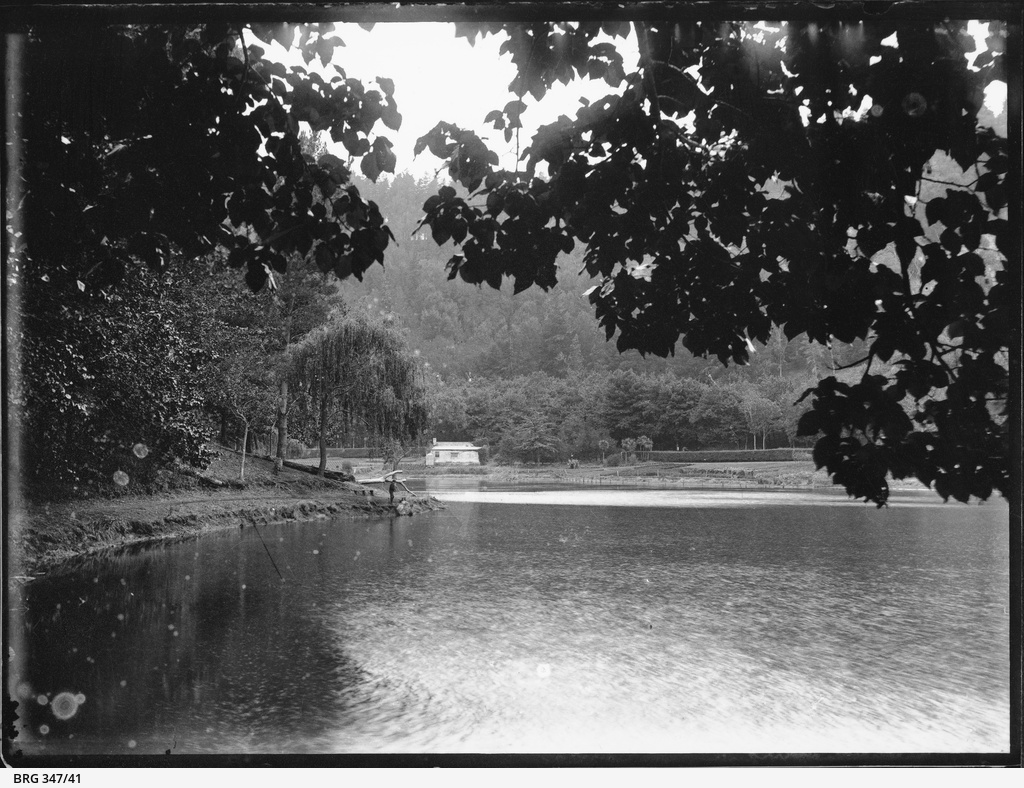Leg of Mutton lake • Photograph • State Library of South Australia
