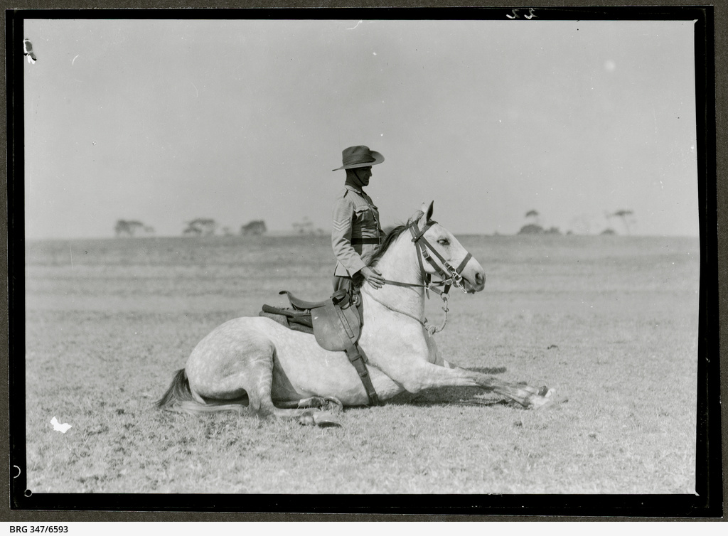 Army 3rd Light Horse Camp • Photograph • State Library of South Australia