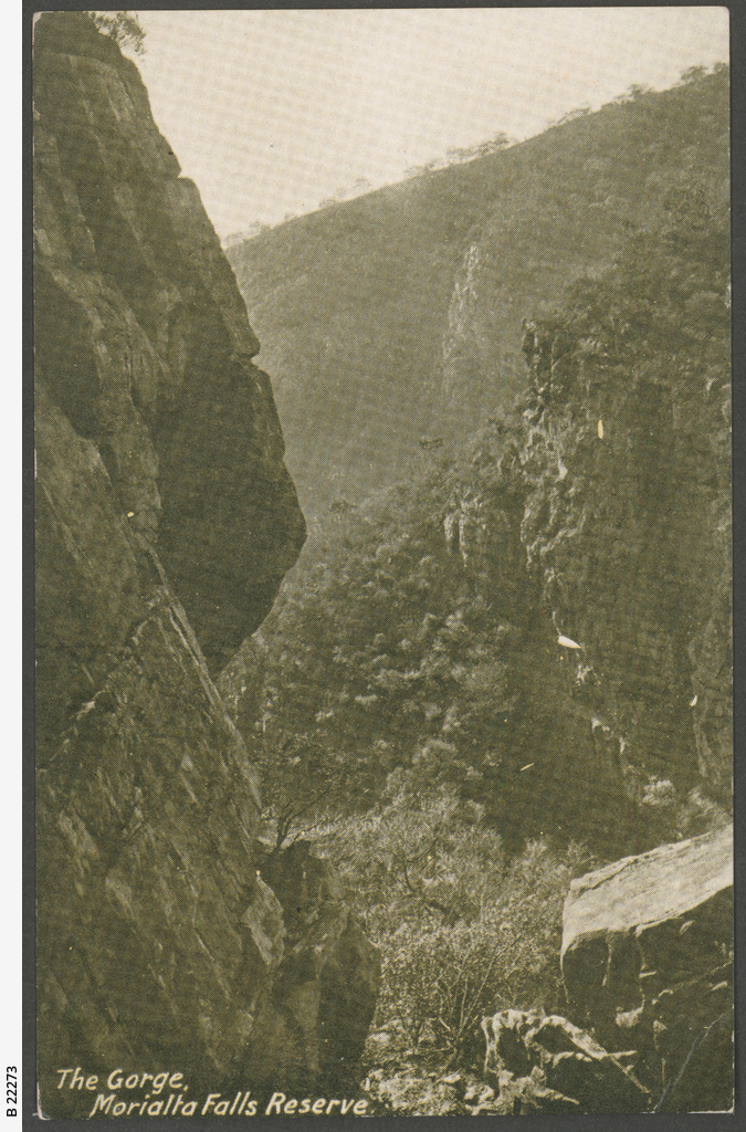The Gorge, Morialta • Photograph • State Library of South Australia