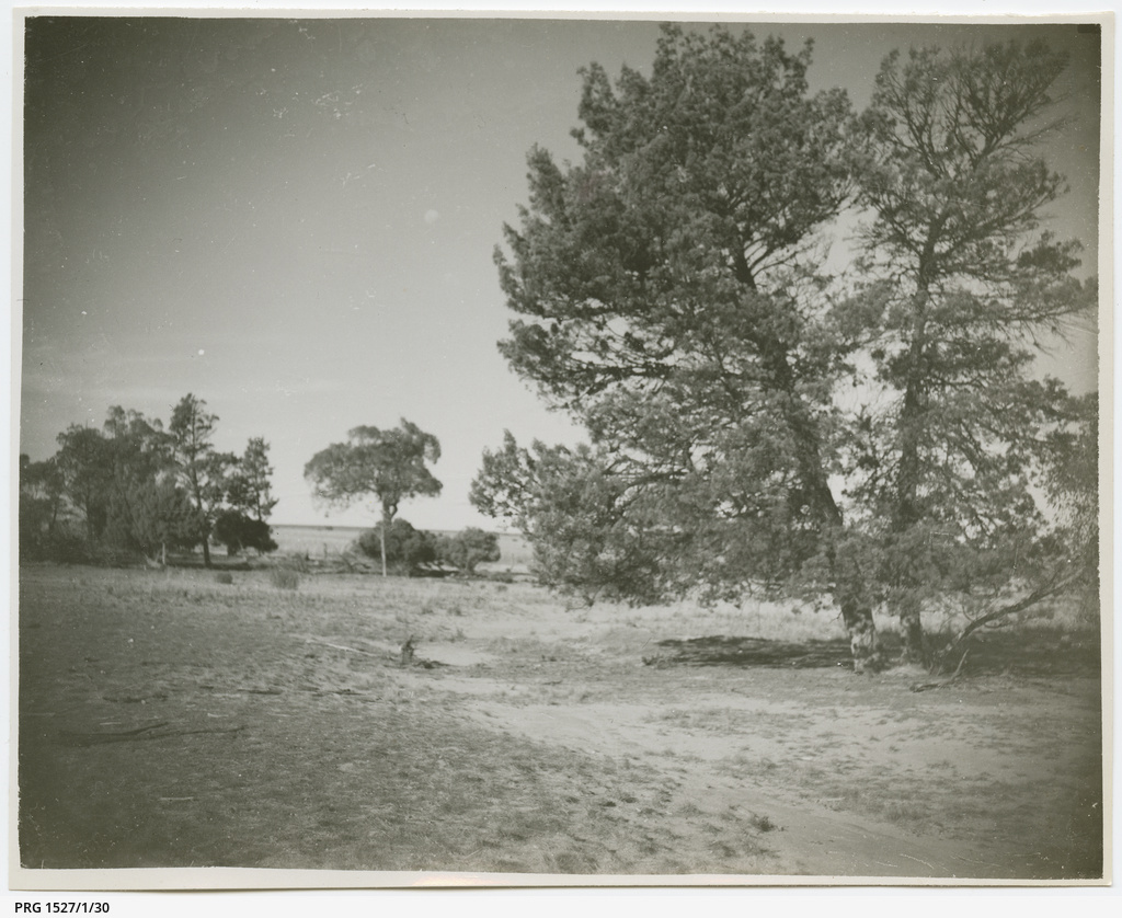 Photograph album of Ceduna • Photograph • State Library of South Australia