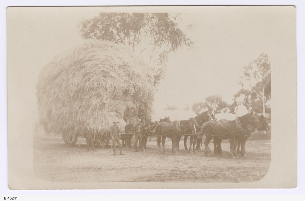 Freeling • Photograph • State Library of South Australia