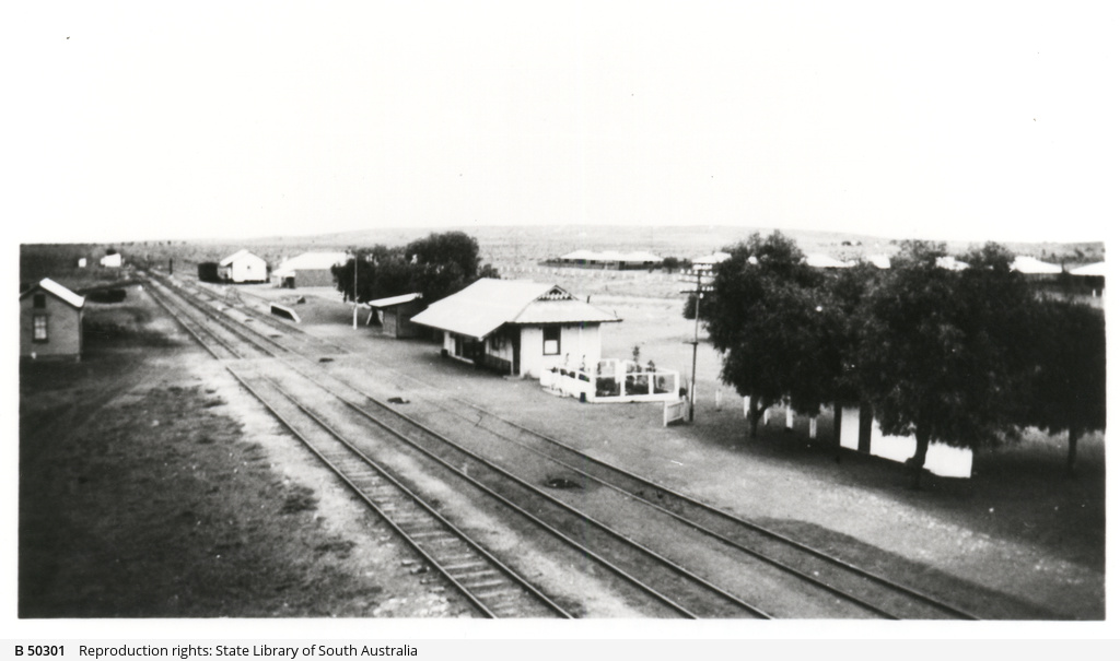 Railway yard, Tarcoola • Photograph • State Library of South Australia