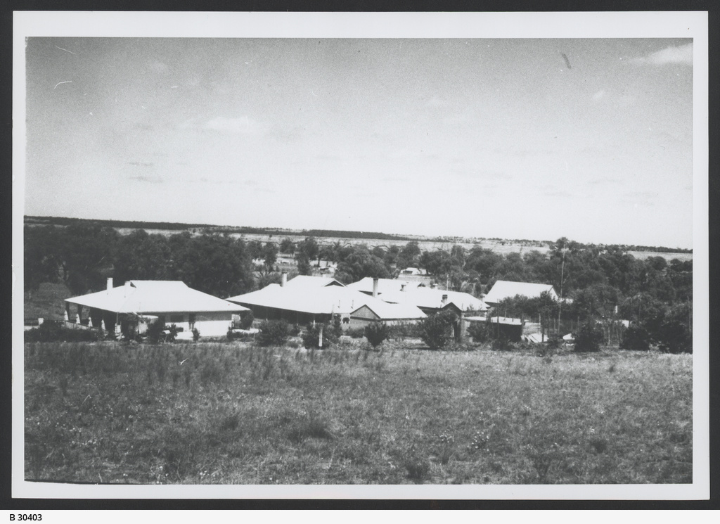 Swan Reach • Photograph • State Library of South Australia