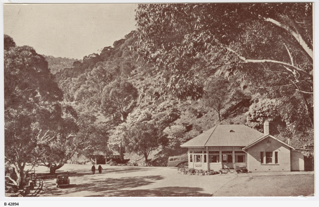 Reserve at Morialta • Photograph • State Library of South Australia
