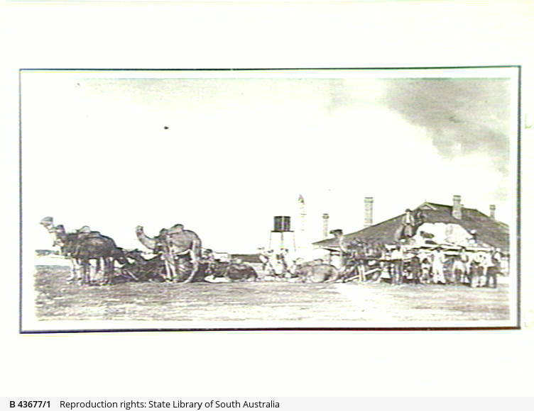 Yalata Station • Photograph • State Library of South Australia