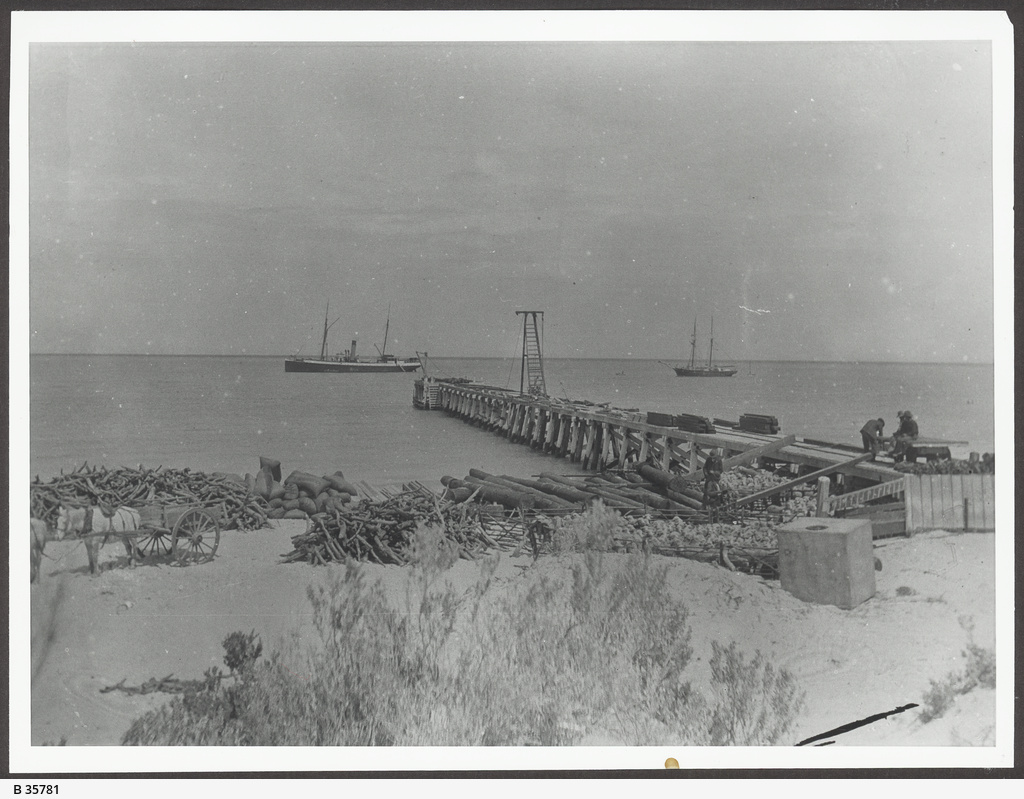 Eucla • Photograph • State Library of South Australia