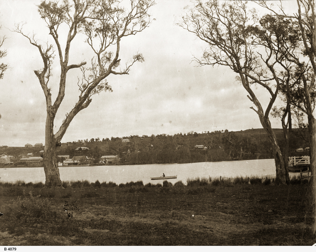 Mannum • Photograph • State Library of South Australia