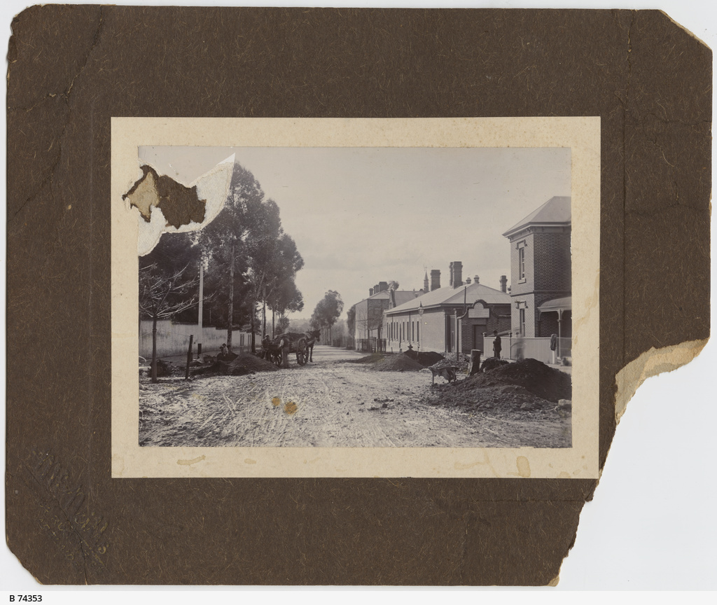 Kintore Avenue • Photograph • State Library of South Australia