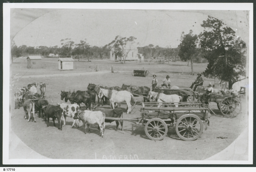 Lameroo • Photograph • State Library of South Australia