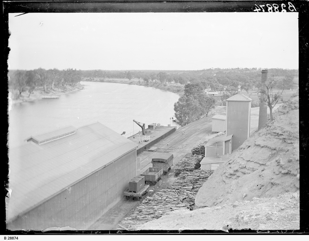 River Murray at Morgan • Photograph • State Library of South Australia