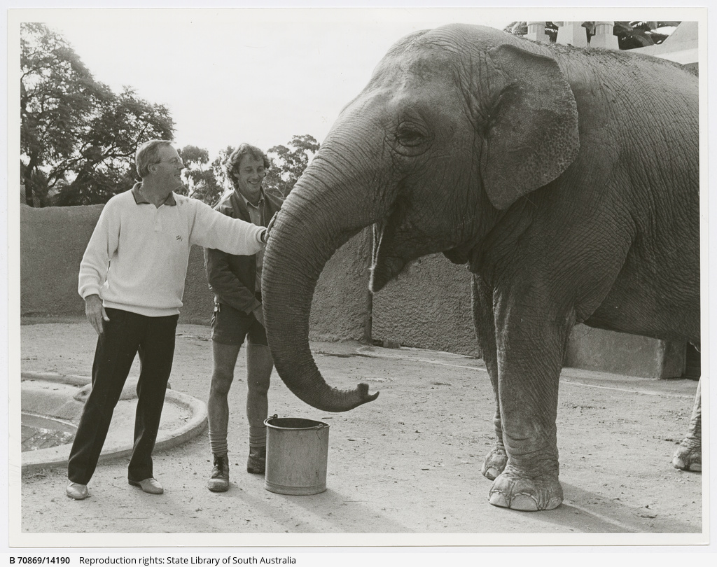 Seven National News reader Kevin Crease tries, with a little food and ...