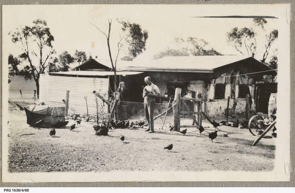 House, Yacka • Photograph • State Library of South Australia