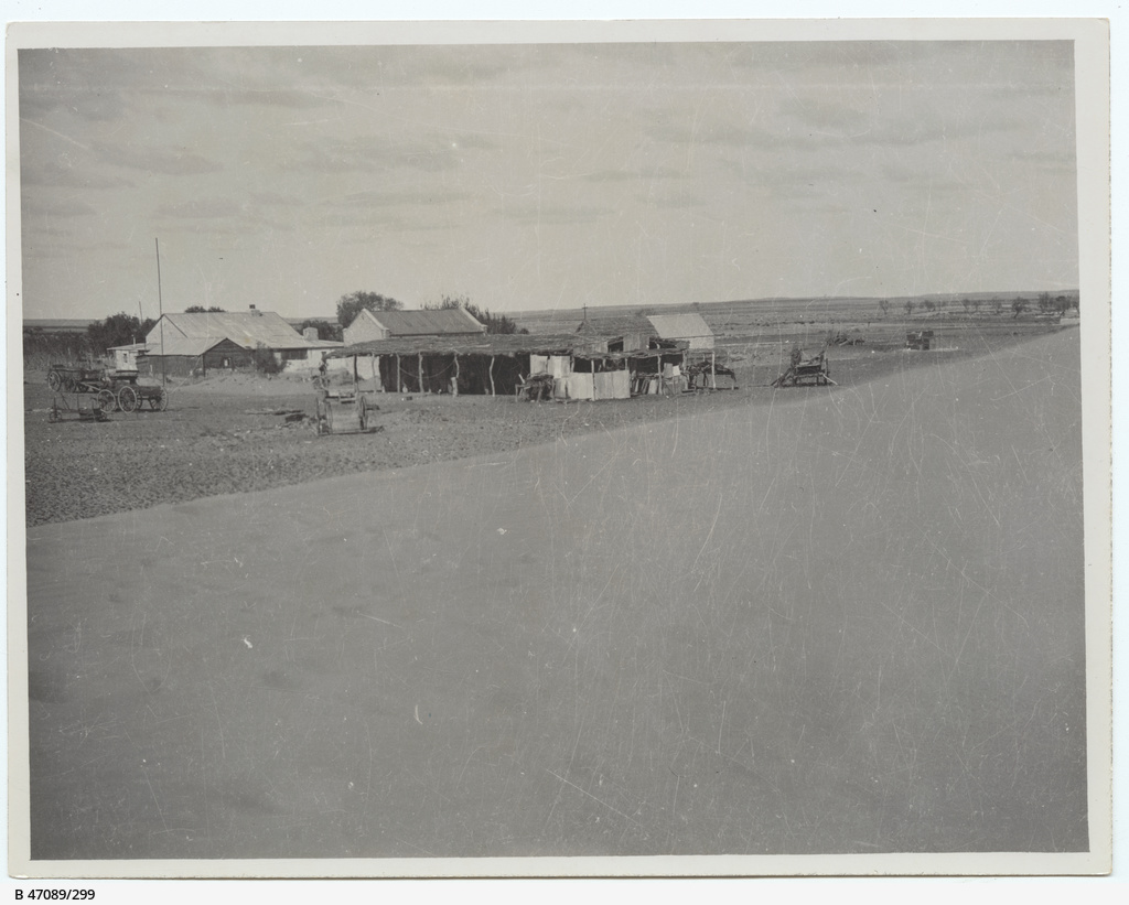 Western Queensland • Photograph • State Library of South Australia
