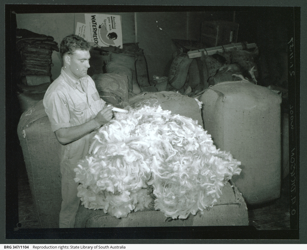O.A. Dickson Wool Merchants • Photograph • State Library of South Australia