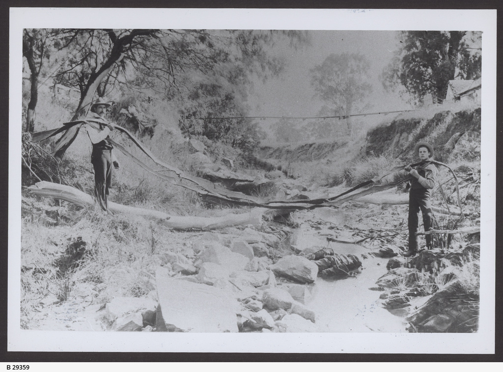 Birdwood • Photograph • State Library of South Australia