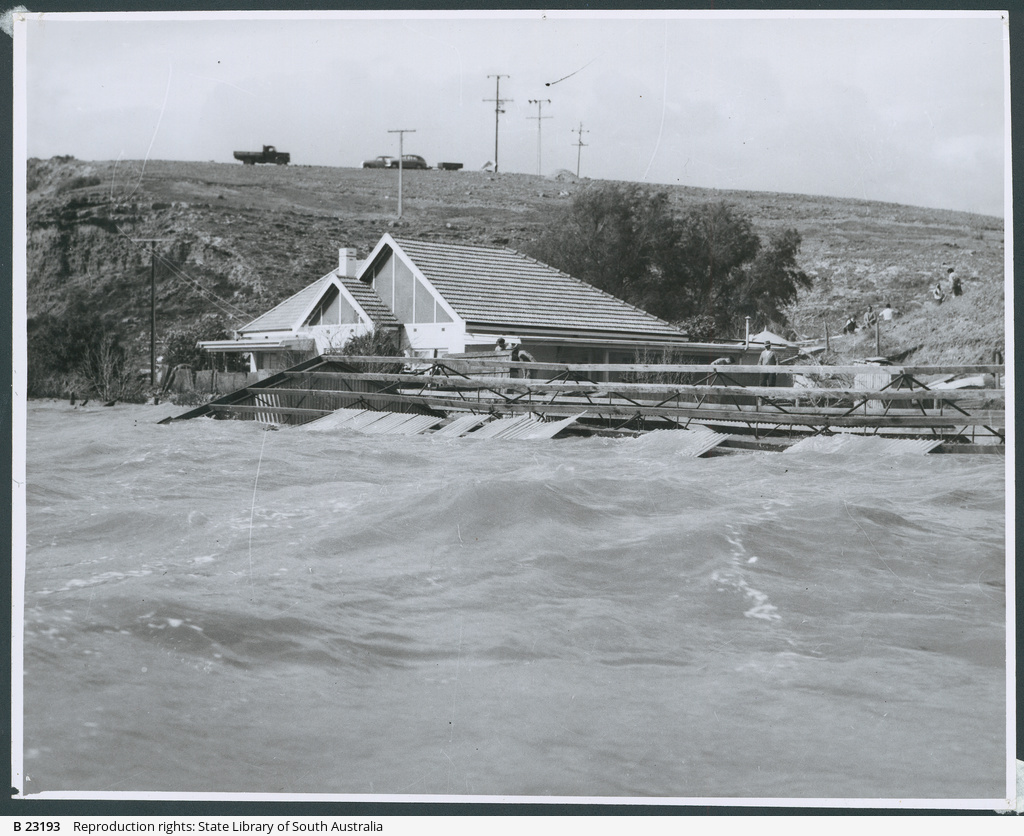 Floods at Mannum • Photograph • State Library of South Australia