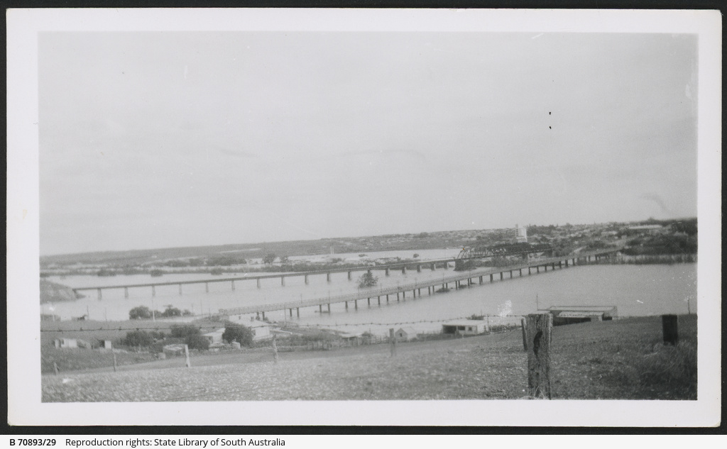 Original bridges at Murray Bridge • Photograph • State Library of South ...