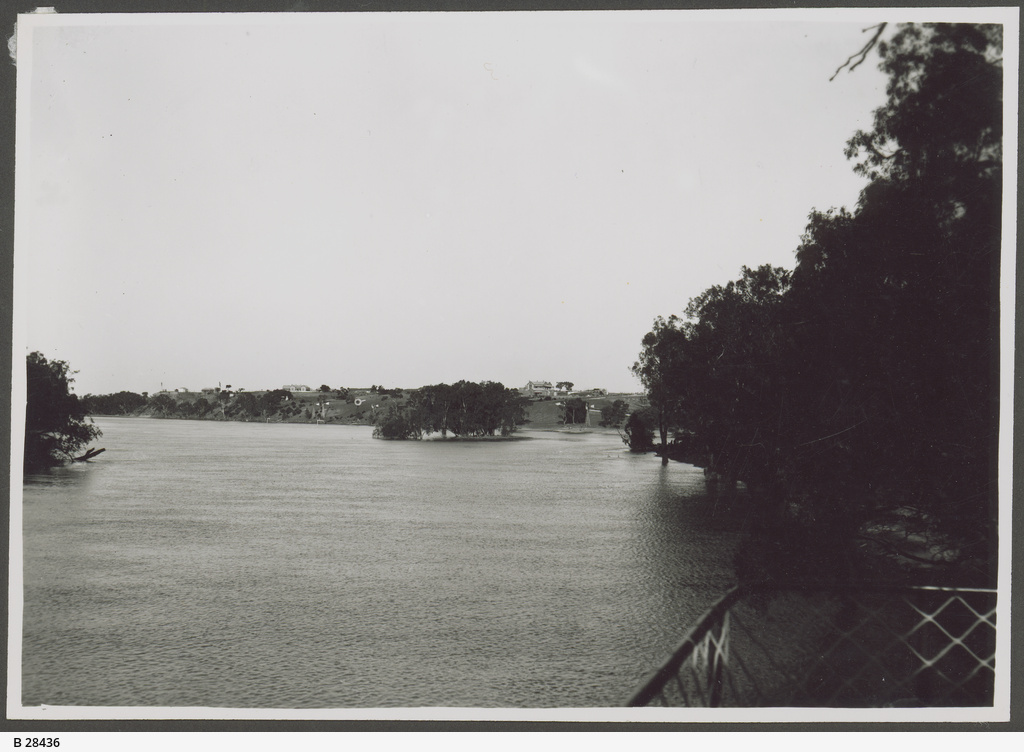 Loxton • Photograph • State Library of South Australia