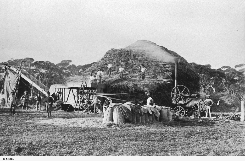A steam winnowing machine • Photograph • State Library of South Australia