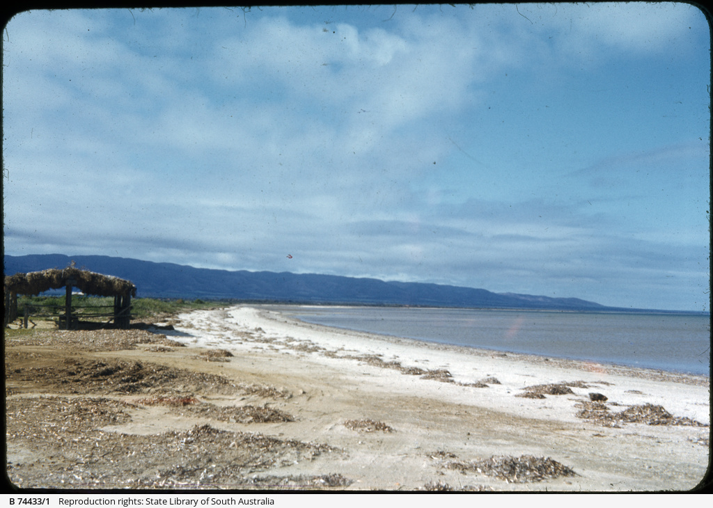 Flinders Ranges • Photograph • State Library of South Australia