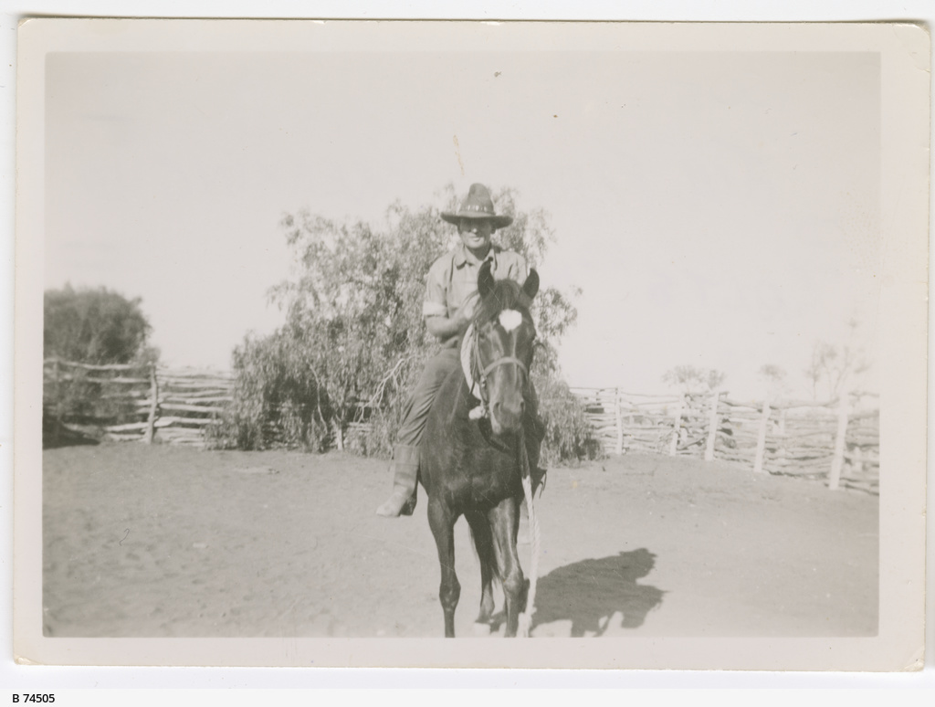 Jim Francis breaking in a colt • Photograph • State Library of South ...