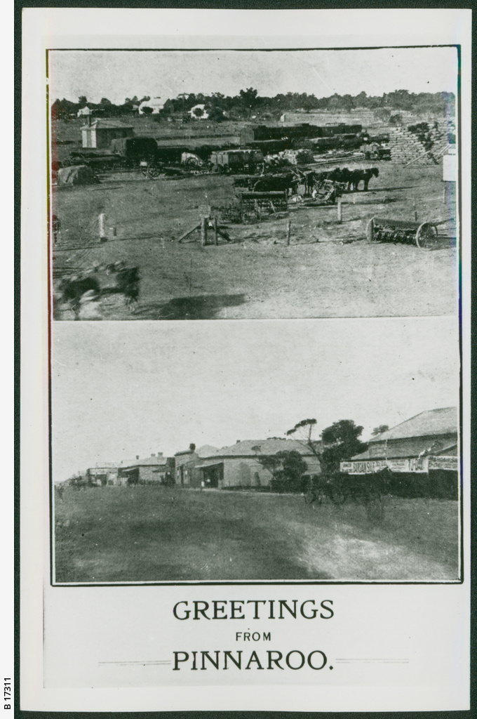 Pinnaroo • Photograph • State Library of South Australia