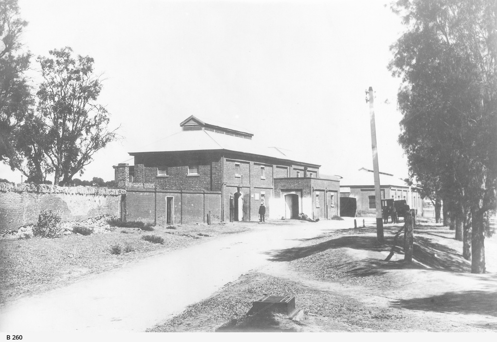 Slaughter House, Adelaide • Photograph • State Library of South Australia