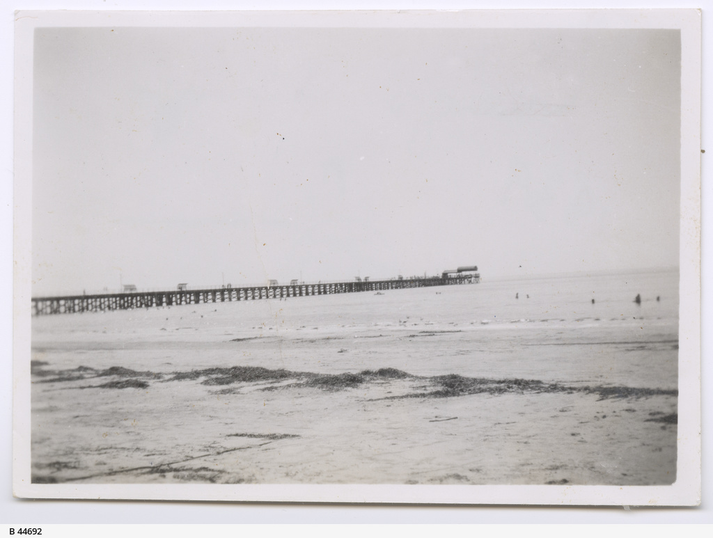 Jetty, Largs Bay • Photograph • State Library of South Australia