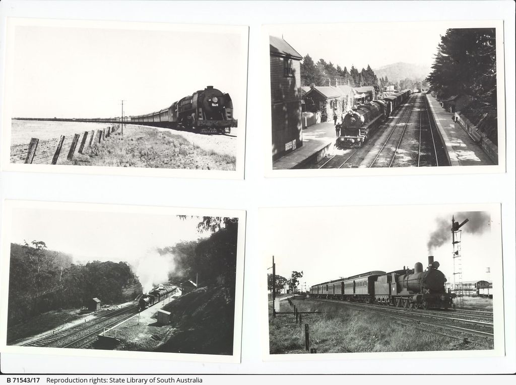 Photographs of transportation in early Adelaide • Photograph • State ...