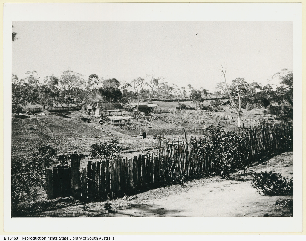 Humbug Scrub Sanctuary • Photograph • State Library of South Australia
