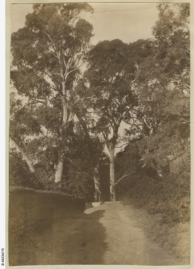 Photograph album, mostly of Erindale • Photograph • State Library of ...