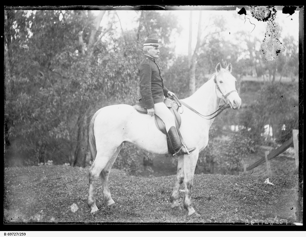 Trooper on a horse • Photograph • State Library of South Australia